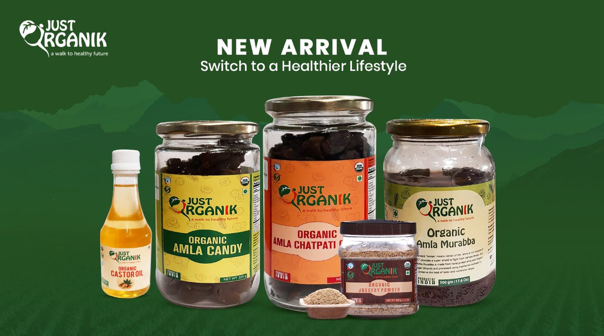 Buy Just Organik Product online in Singapore – Oooooya Goodness Store